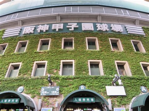 武蔵野大学の学生が主導のプロジェクト「あの夏を取り戻せ 元⾼校⽣草野球」が甲子園球場での開催が決定 むーなび