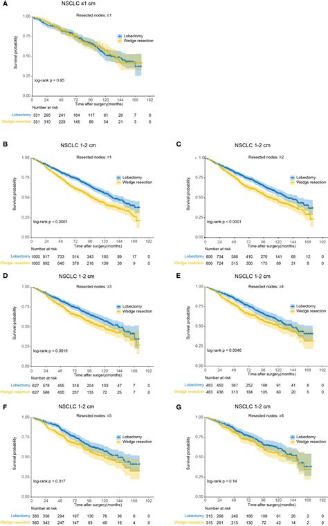 Difference Between Wedge Resection And Lobectomy At Irene Ahmed Blog