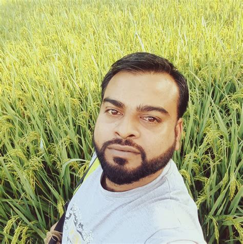 Prothom Alo ৪২ কেজি ওজনের বাগাড় মাছ বিক্রি হলো যে দামে Facebook