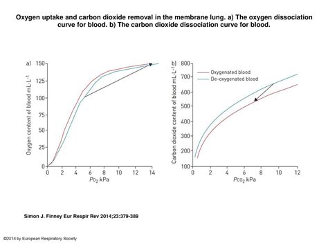 Oxygen Uptake And Carbon Dioxide Removal In The Membrane Lung Ppt