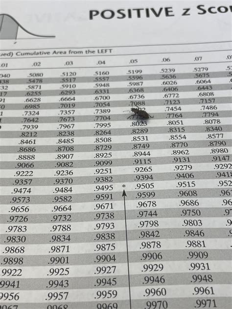 Weevil Helping Me With College Statistics In Class Rweeviltime