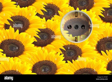 Energy Power Electricity Electric Power Outlet Socket Solar Solar Energy Stock Photo Alamy