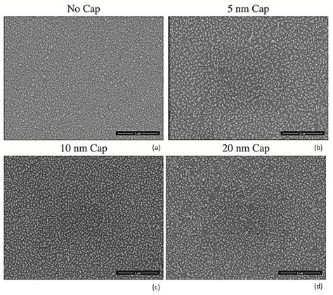 Large Area Substrate Based Nanofabrication Of Controllable And Customizable Gold Nanoparticles