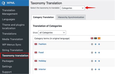 how to create multilingual websites using wpml