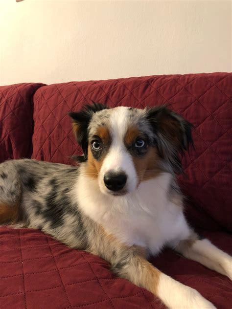 When Monroe Met Napoleon Rwigglebutts