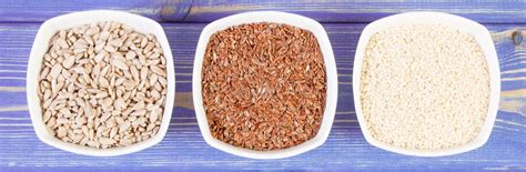 Products And Ingredients Containing Calcium And Dietary Fiber Healthy