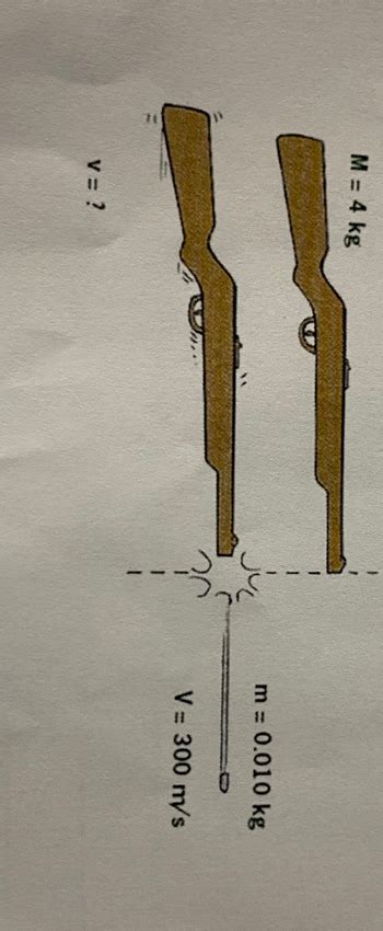 Answered Calculate The Velocity Of The Rifles Recoil After Firing Bartleby