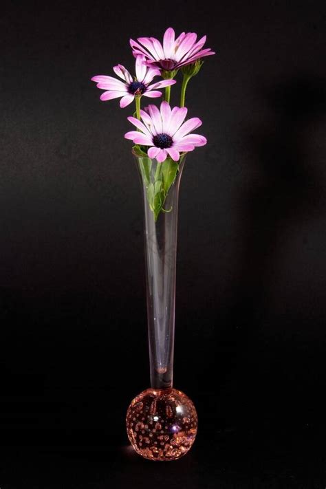粉色和白色的非洲菊花陈列在一个装饰花瓶中图片 包图网企业站
