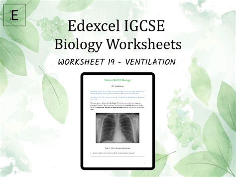 Edexcel IGCSE Biology Worksheet 19 Ventilation Teaching Resources