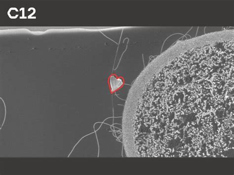 Quantum Computing Valentinesday C12