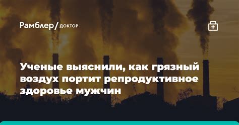 Американские ученые выявили негативное влияние грязного воздуха на
