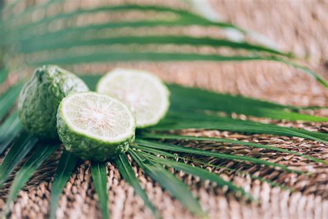 등나무 배경에 야자수 잎 위에 신선한 잘 익은 라임 공간을 복사합니다 아카 셀로위아나 창조적 인 디자인 배너 여름 시간입니다 열대 여행 이국적인 과일 비건 및 채식주의 개념