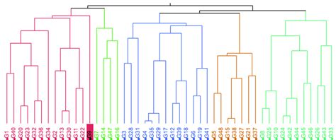 dendrogram showing the hierarchical grouping patterns of 48 pumpkin