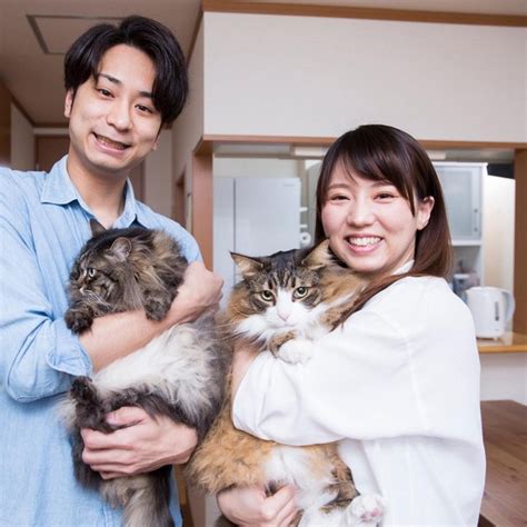 「こっそり飼っている人いますよ」仲介業者の言葉を信じて、猫を飼っていましたが訴えると警告され困惑 弁護士が解説｜まいどなニュース