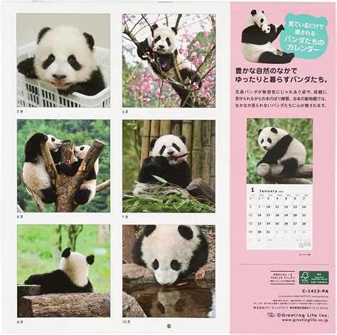 Amazon Greetinglife 2023年 パンダlpサイズ カレンダー 壁掛 C 1413 Pa ピンク 本体サイズ