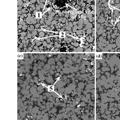 Sem Micrographs Of A Sample 1 B Sample 2 C Sample 3 And D Sample 4