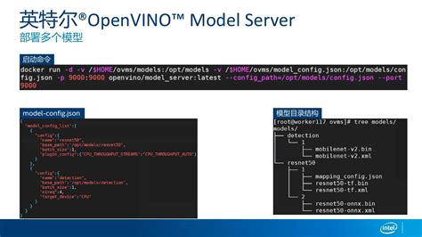Intel Openvino Model Server