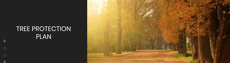 Tree Protection Plan HOLLY ARBORICULTURE