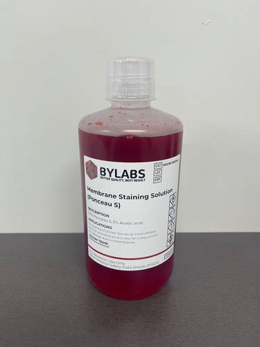 M0218 1000ml Membrane Staining Solution Ponceau S Bylabs 루사이언스