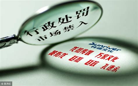 趙薇被上交所處罰，趙薇夫婦空手套白狼再次被處罰！ 每日頭條