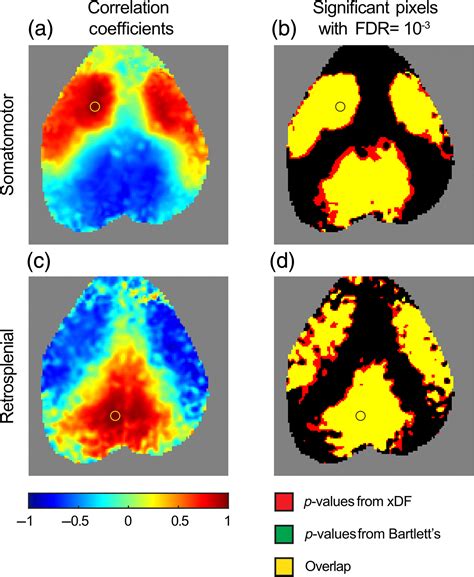 Statistical Approaches To Temporal And Spatial Autocorrelation In Resting State Functional