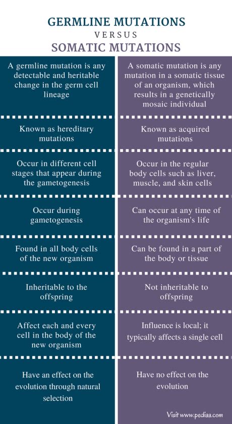 Difference Between Germline And Somatic Mutation Definition Features