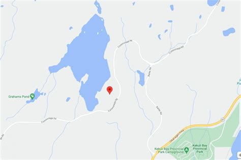 Bird Hits Power Line Sparking Fire In Vernon Revelstoke Review