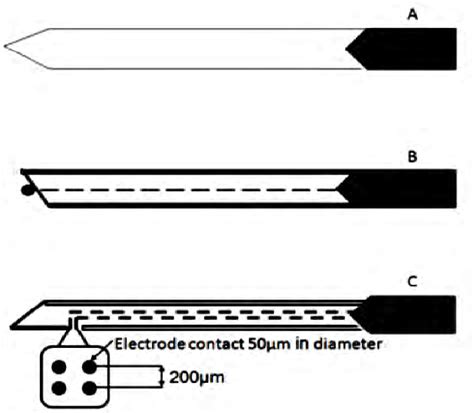 Figure From Neuromuscular Activity Classification Based On Autoregressive Modeling Of Time