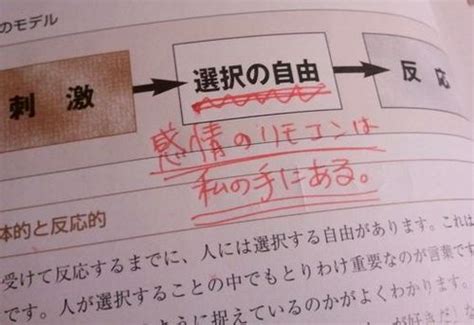 7つの習慣演習ノート キング・ベアー出版 価格 チャド湖の湖水