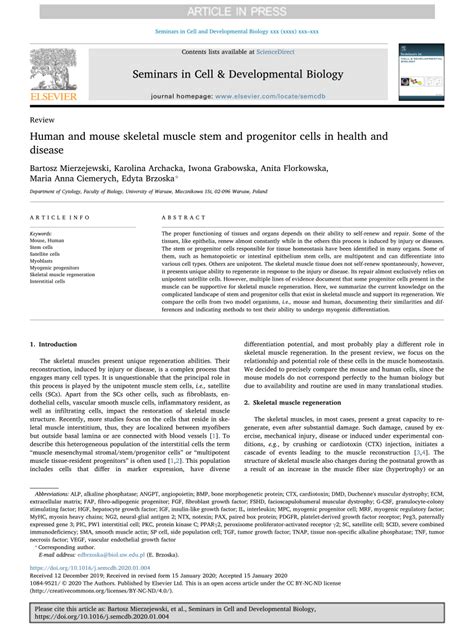 Pdf Human And Mouse Skeletal Muscle Stem And Progenitor Cells In