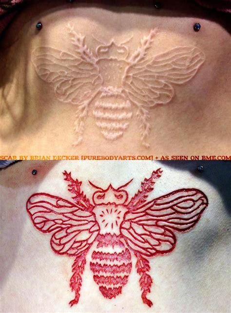 Scarification And The Tradition Of Body Branding Ancient Body