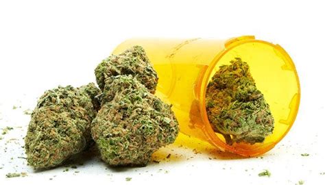 Health Benefits Of Cannabidiol Cbd The Chill Bud