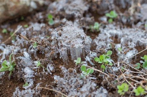 赤ちゃんを迎える準備 その8 アースandムーンの特別養子縁組で子育て中