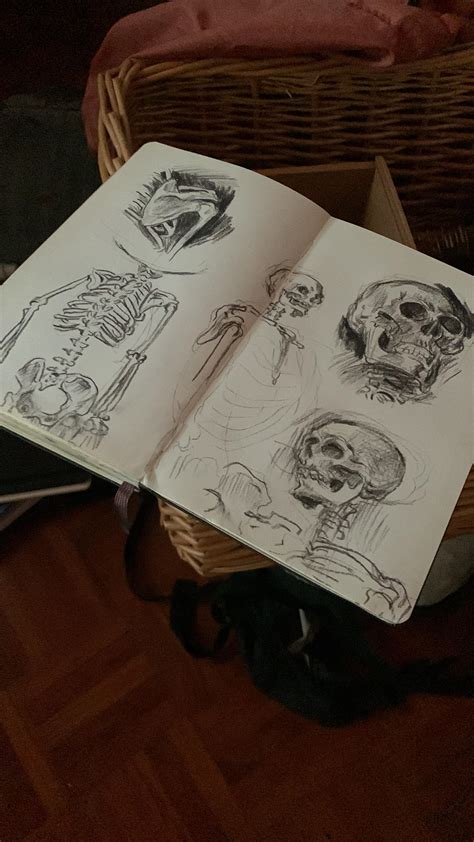 Drawing My Friend Ralph Today Rlearntodraw