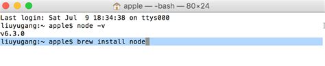 mac 上node js环境的安装与测试 mac怎么打开node终端 csdn博客