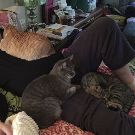 Cod Ghost X Reader On Tumblr