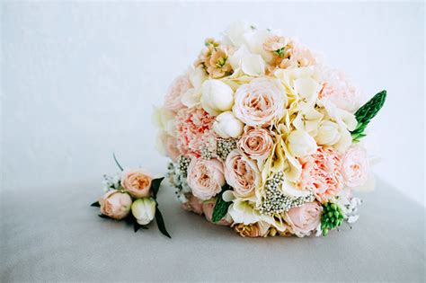 튤립 장미 수 국 꽃과 카네이션의 만든 아름 다운 신선한 신부 부케와 Buttonhole 꽃다발 0명에 대한 스톡 사진 및 기타