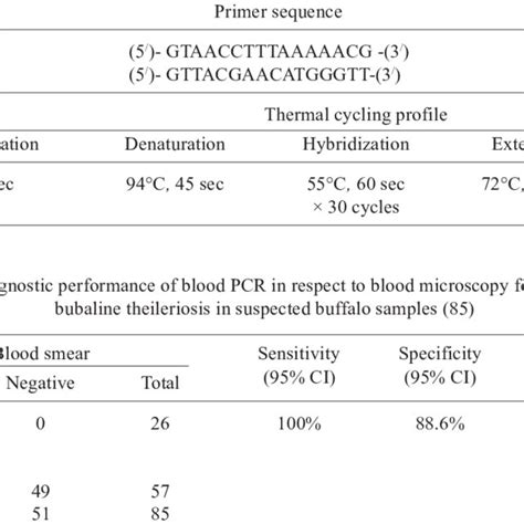 Primer Sequences Along With Thermal Cycling Profile Download