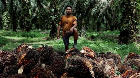 Azmi Arshad On Linkedin Indonesia And Malaysia Freeze Trade Talks With