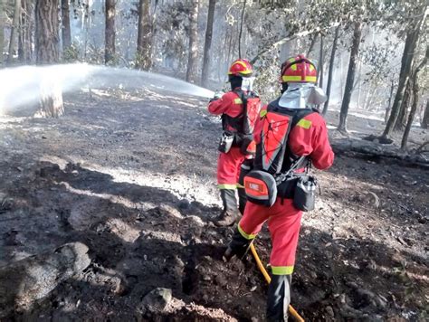 El Viento Da Una Tregua Y Permite Controlar Las Reactivaciones Del