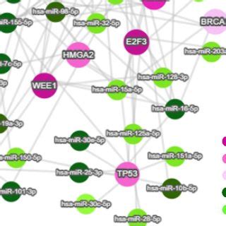 Functional Enrichment Analysis Of Differentially Expressed
