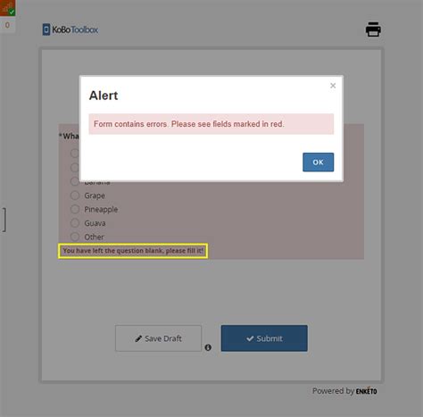 How To Customize Error Alert Message Form Building Kobotoolbox