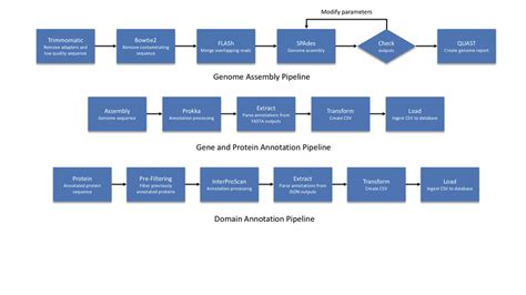 Curation And Annotation Pipelines Download Scientific Diagram