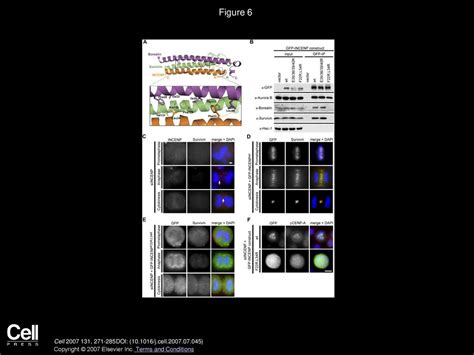 Volume 131 Issue 2 Pages October 2007 Ppt Download