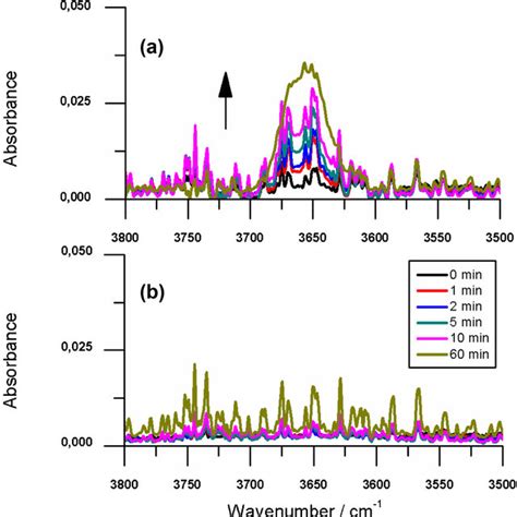 Equilibria Contributing To The Isosbestic Point At 1730cm−1 Associated
