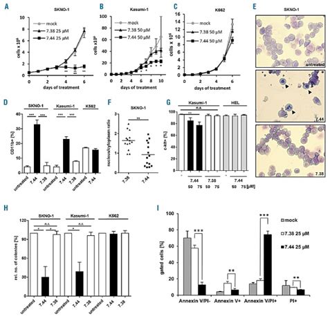 suppression of runx1 eto oncogenic activity by a small molecule