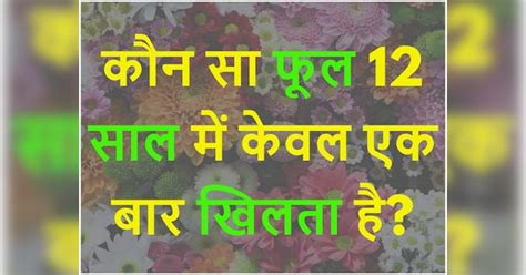 Gk Trending Quiz Which Flower Blooms Only Once In 12 Years Quiz कौन