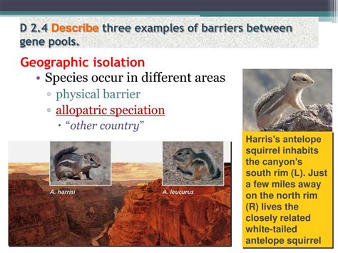 Ppt Option D Evolution D2 Species And Speciation Powerpoint