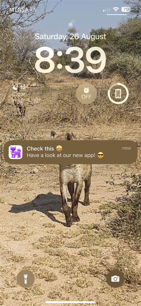 Our Working Process Go Push Notifications