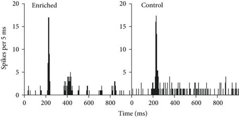 Synchronization Of Units With Amplitude Modulated Noise A Vector Download Scientific Diagram